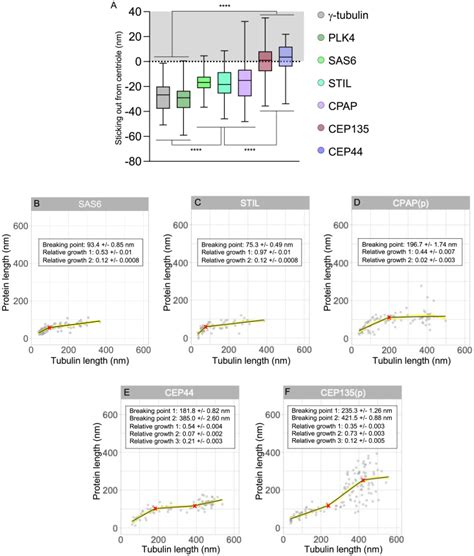 Time Series Reconstruction Of The Molecular Architecture Of Human