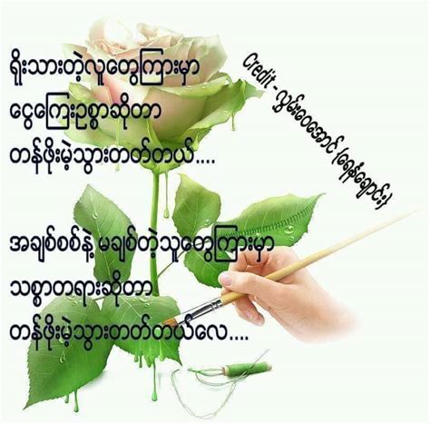 ရသစြယ္စံု တူစံုေပ်ဳာ္ရႊင္ ေမာင္ႏွသြင္