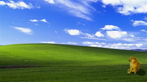 Windows X Cheems Scrolller