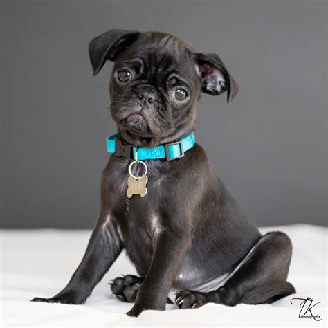 Terri Keefer Photography Home Facebook