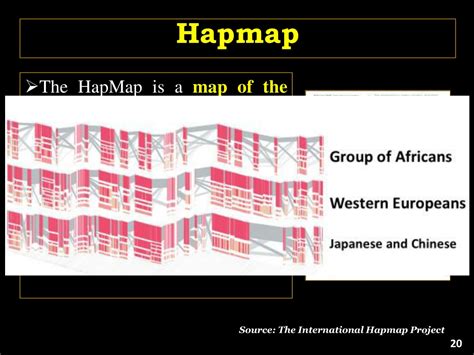 Ppt Haplotype Led Approaches For Increasing Precision In Plant