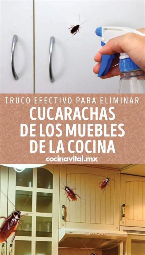 Realmente Necesitas Esta Receta Tómala Ahora Remedios Para