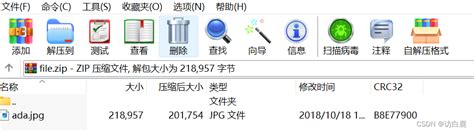 【图片隐写】binwalkforemost010editer的使用foremost分离文件 Csdn博客