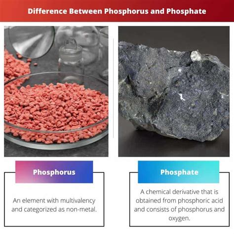 Phosphore Vs Phosphate Différence Et Comparaison