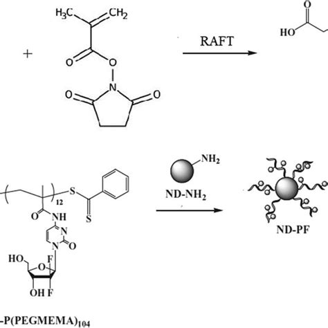 Surface Functionalization Of Amine Modified Nanodiamond With Carboxyl