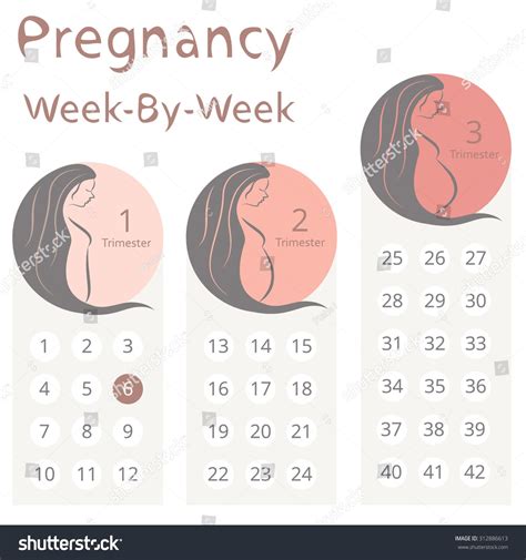 Printable Pregnancy Calendar