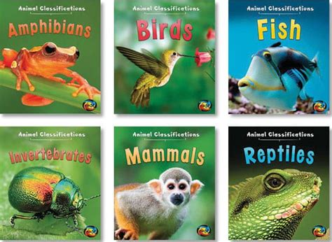 Animal Classifications 6 Book Set Silvereye