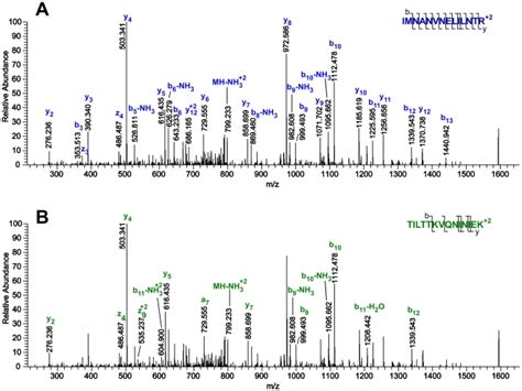 A Assignment To Peptide Sequence Imnanvnelilntr2 From Acc 58585098 Download Scientific