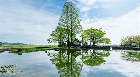 縫ノ池 観光地 【公式】佐賀県観光サイト あそぼーさが