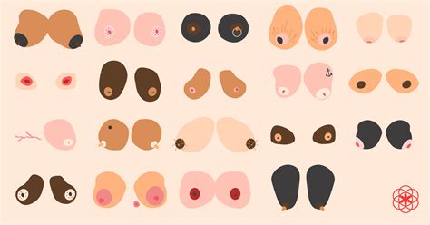¿de Qué Color Son Los Pezones Variedades Y Significados