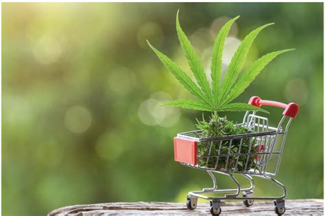 How Different Cannabis Delivery Methods Impact Bioavailability