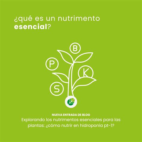 💧🌱 ¿qué Es Un Nutrimento Inverfarms Hidroponía México