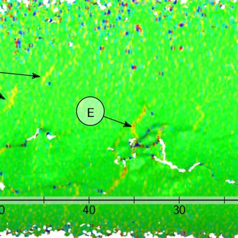 Dic Results Viewed From Above The Microscopy Sections The Black