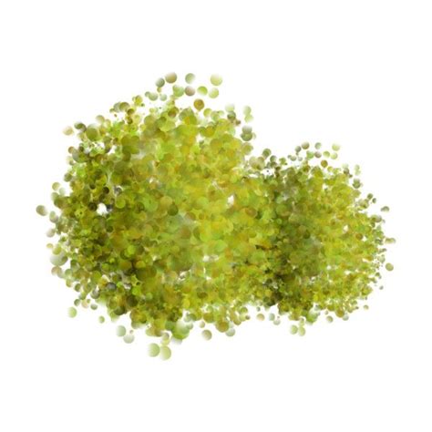 Vclipariel53png Liked On Polyvore Photoshop Landscape Tree