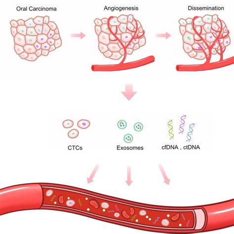Clinical Utility Of Saliva And The Potential Of Salivary Biomarkers In