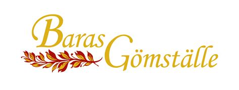 Senaste Artiklar Tips Och Nyheter Från Barasfamiljen