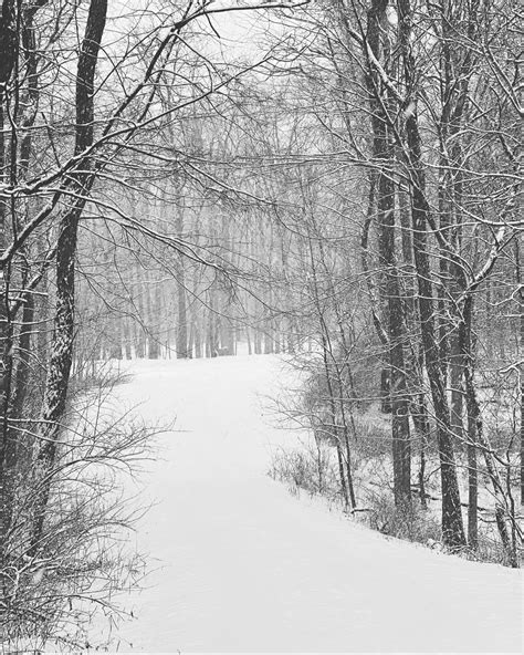 Inclusion Teamwork Terri Fleener Cdr