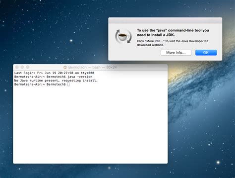 Check For Java Bermotech