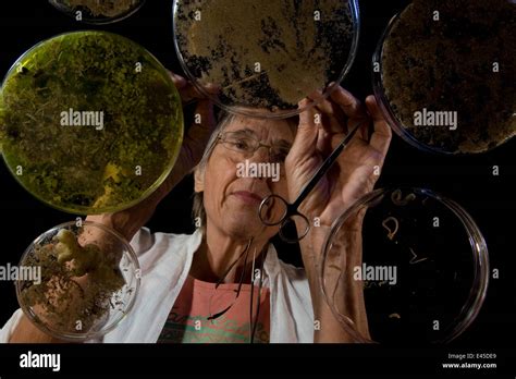 Charlotte Watson Places Polychaete Worm Specimens Under The Microscope
