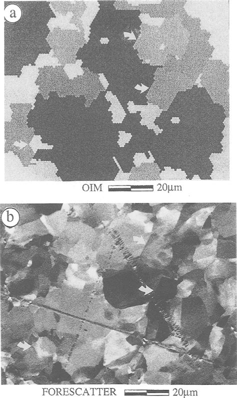 A Grain Map Of The Microstructure Of A Quartz Mylonite From Torridon
