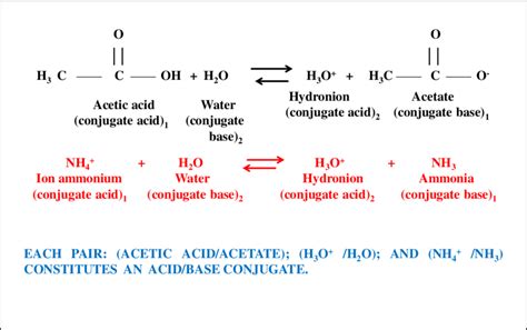 Acid Base Reaction Examples