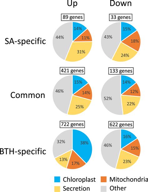 Predicted Subcellular Localization Of Proteins Corresponding To The
