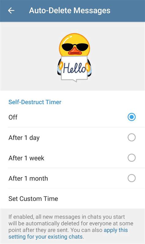 Telegram Auto Delete Messages How To Set Up Telegram Auto Delete