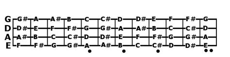 On A Bass Guitar Fretboard Notes
