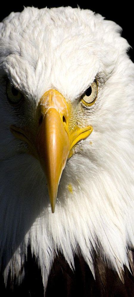 سیدعلی موسوی حصاری ویرگول