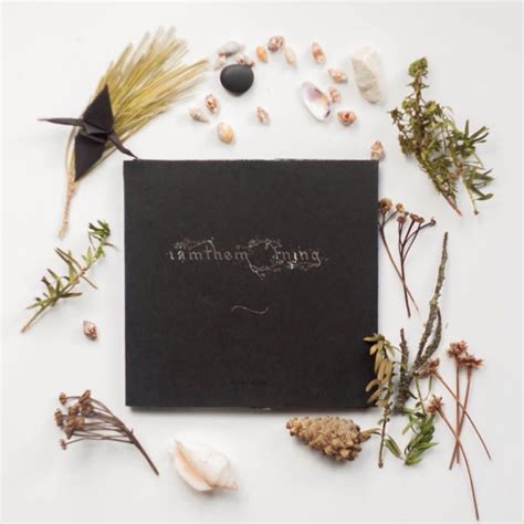 Iamthemorning Discography And Reviews