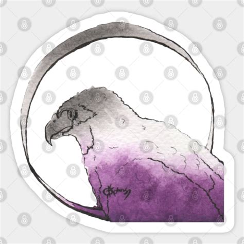 Asexual Watercolour Hawk Pride Bird Asexual Sticker Teepublic