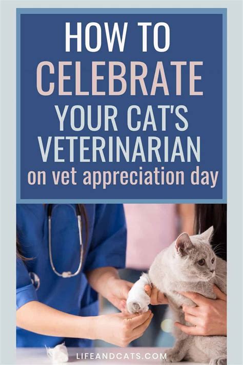 Happy Veterinary Appreciation Day At Todd Bushman Blog