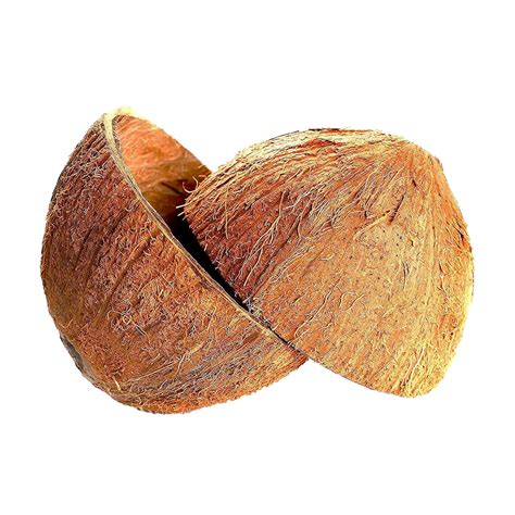 2pcs Coconut Shell Halves Grocery And Gourmet Food
