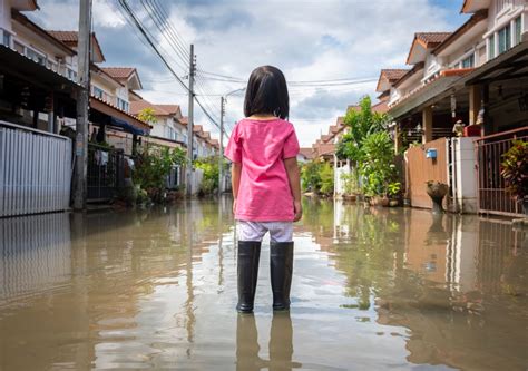 ¿cuándo Llueve Más Con El Fenómeno De El Niño O De La Niña