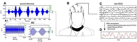 Auditory Stimulus And Experimental Setup A Three Minute Excerpt Of