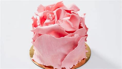 15 Of The Yummiest Cake Shops In Sydney Right Now Ellaslist