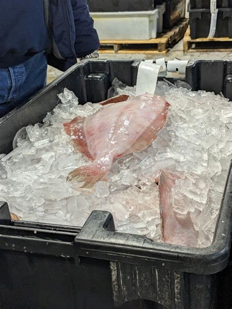 Representative Allison Hepler