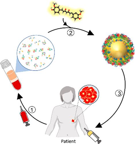 High Drug Loading Nanoparticles Stabilized With Autologous Serum