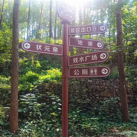 定制户外指示牌导向牌立式指路牌小区指引牌景区公园分流路标牌 立柱 5个叶片 户外指引标识 标识成品 标识圈