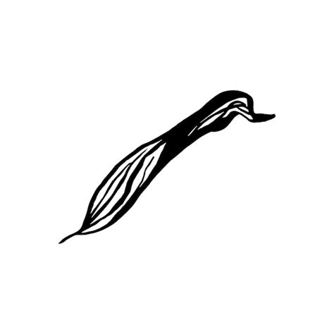 Premium Vector Cute Hand Drawn Single Leaf Of Realistic Alstroemeria