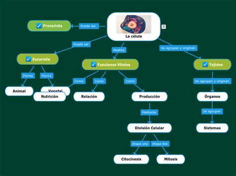 La Célula Mind Map La Célula Mind Map