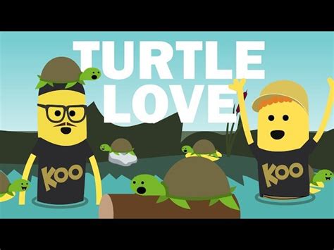 Turtle Love Pictures
