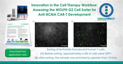 Nanocellect Biomedical Inc On Linkedin Cell And Gene Therapy For