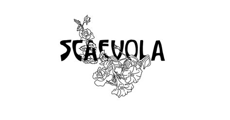 Apparel Scaevola Maior Arcana Tarot