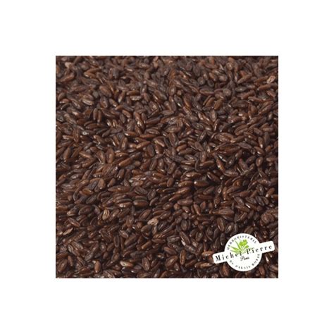 Psyllium Noir En Vrac