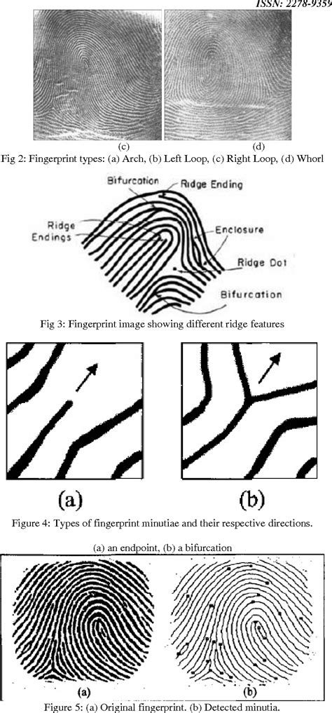 Figure 4 From Fingerprint Recognition By Classification Using Neural Network And Matching Using