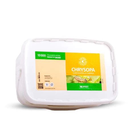 Koppert Chrysopa Chrysoperla Carnea Urban Grow Garden Supply