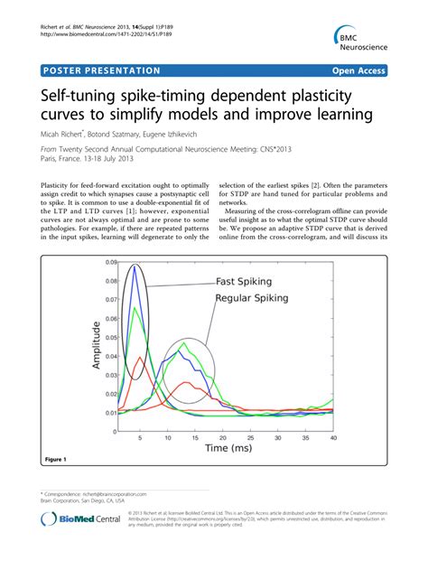 pdf self tuning spike timing dependent plasticity curves to simplify