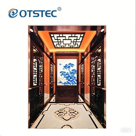 Otstec Outdoor Elevator Passenger Elevator Home Elevator Lift With Factory Elevator Price