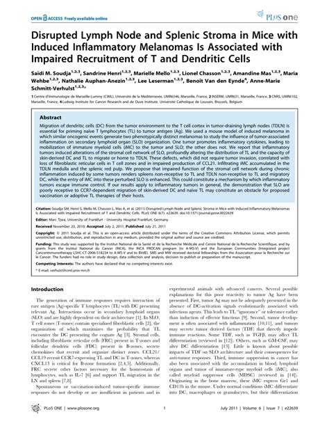 Pdf Disrupted Lymph Node And Splenic Stroma In Mice With Induced